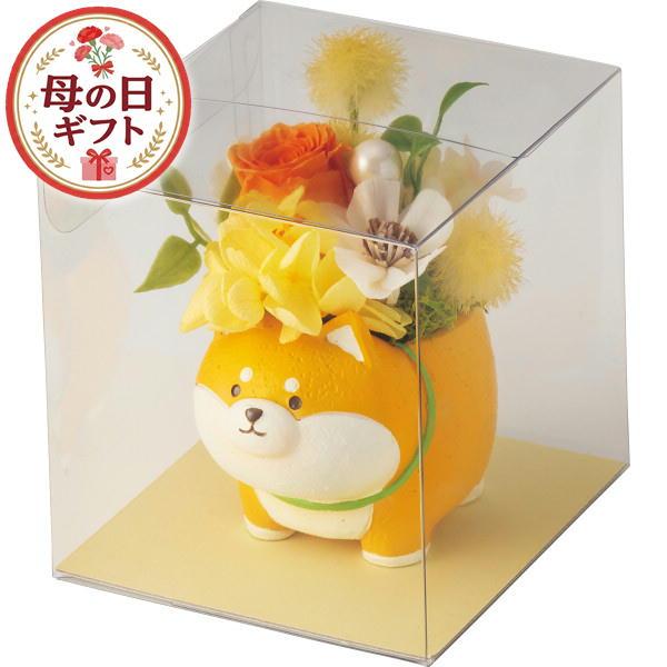 【発売日：2026年05月11日】華やかなプリザーブドフラワーを、手のひらサイズの可愛らしい柴犬ポットにアレンジした母の日専用ギフトです。バラやアジサイ、モスなどのプリザーブドフラワーに、ベリーやグリーンの造花、ソラフラワーを合わせ、コンパ...