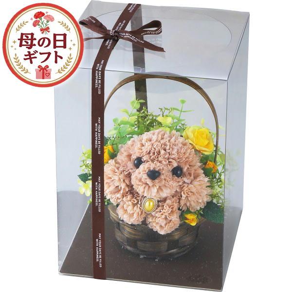 【発売日：2026年05月07日】ピンポンマムを12個使って仕上げた、ふんわり可愛いトイプードルのフラワーパピーです。アーティフィシャルフラワーならではの華やかさがあり、飾るだけでお部屋が明るくなる母の日ギフト。クリアボックス入りで贈りやす...