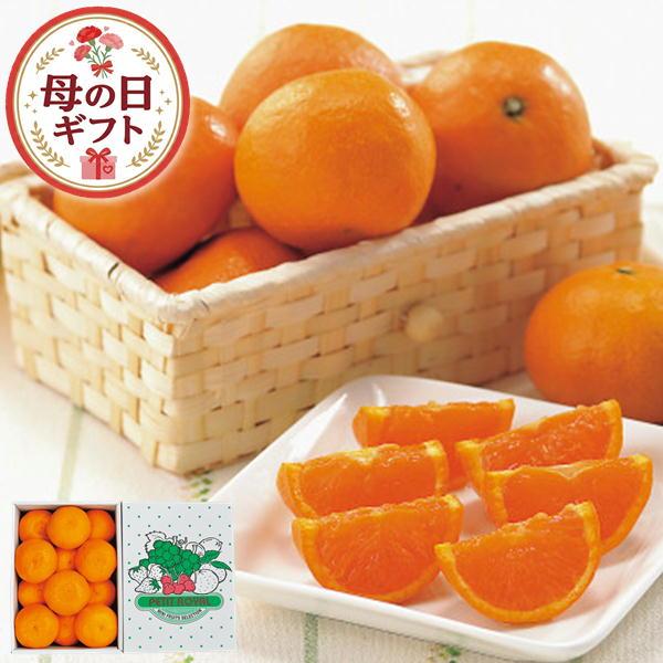【発売日：2026年05月11日】母の日に贈りたい、濃厚な甘さが魅力の愛媛県産カラマンダリン。1年以上じっくりと樹で育てられたカラマンダリンは、皮がむきやすく、袋ごと食べられるやわらかさが特徴です。みかんの手軽さとオレンジのコクを合わせたよ...