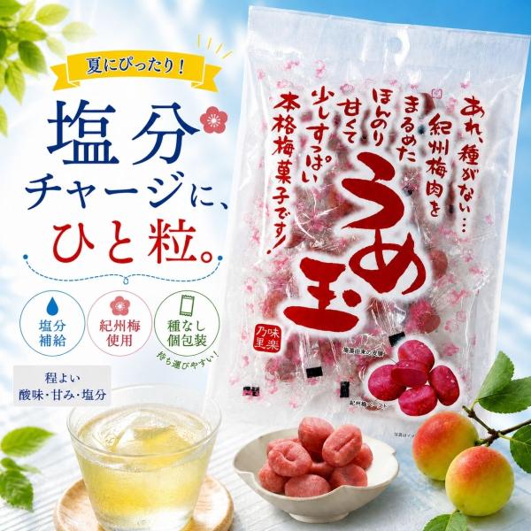 紀州産梅肉を使用した本格派の種なし梅菓子「うめ玉」。和歌山県産の梅干しをベースに、国産りんごピューレを加えることでほんのり甘くて少しすっぱい、食べやすい味わいに仕上げました。種を取り除き、ひと口サイズの食べやすい梅おやつで、幅広く年齢の方々...