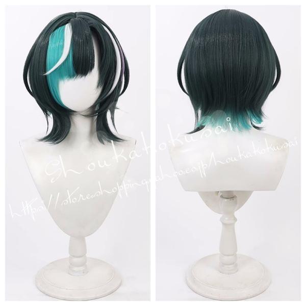 ◆新品未使用◆セット内容：ウィッグ