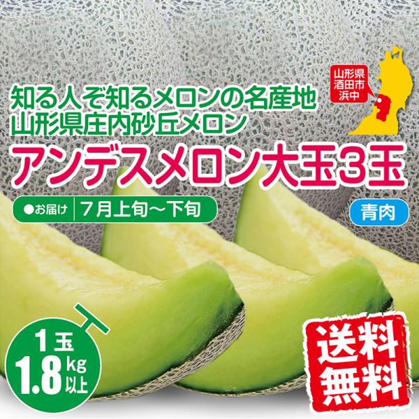 【発売日：2026年07月01日】　日本海に面する砂丘地の中でも、昼夜の寒暖差がとても大きい酒田市の浜中地区。そのおかげで、濃厚な甘みとたっぷりの果汁があふれるメロンが出来るのです。生産者の奥山さんは、この道30年のメロン栽培のベテランです...