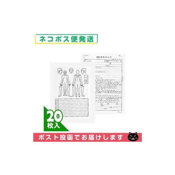 20枚入サイズ:B5・A4