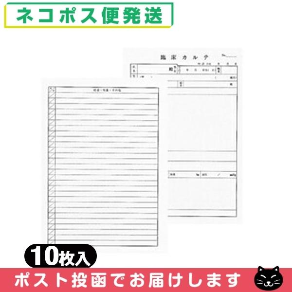 10枚入サイズ:B5・A4