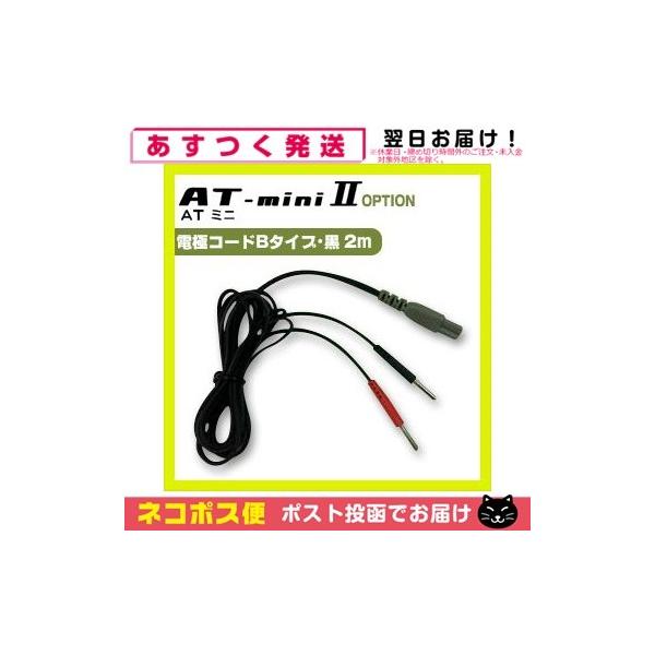 【伊藤超短波】【AT-miniII(AT-mini2)用・オプション品】です。適合機種:AT-mini (ATミニ) ※保護ケースは対応しておりません。  AT-miniII (AT-mini2・ATミニ2)  AT-miniI Perso...