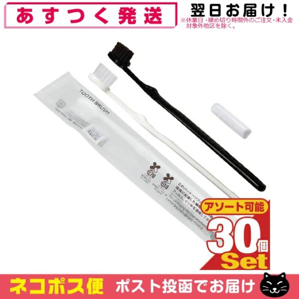 業務用使い捨て歯ブラシセット ハミガキ粉チューブ3g付き (使い捨てハブラシセット)(ハブラシ 歯みがき 歯磨き 歯みがき粉 歯磨き粉 TOOTH  BRUSH オーラルケア オーラル用品 国産 QH3)  コストパフォーマンスを追求した薄...