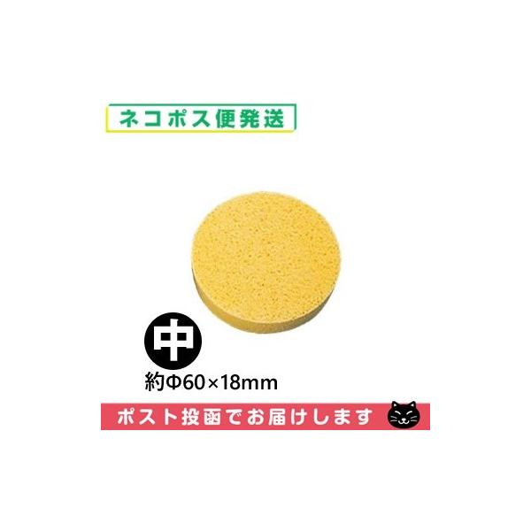 低周波治療器 スーパーテクトロン HP200専用替えスポンジです。