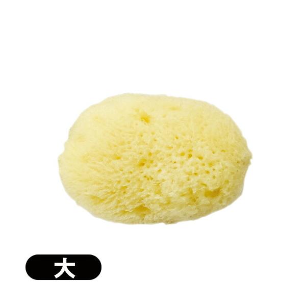 ● 水分を含むとやわらかく、キメが細かくなります。ギュッとしぼってからご使用ください。● なめらかで優しい肌ざわりで、泡立ちもよく、毛穴の汚れもしっかり落とします。● お肌の弱い方にも安心してお使いいただけます。● 洗顔やファンデーション用...