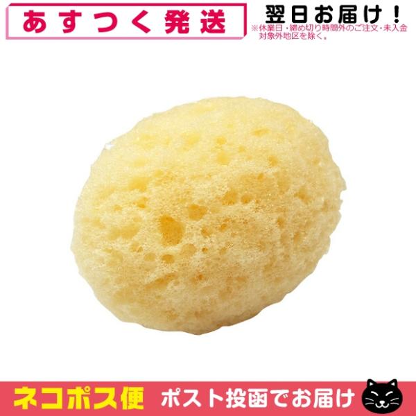 ● 天然海綿と比べ匂いがでにくく、サイズの個体差がほぼありません。● 水分を含むとやわらかく、ふんわりソフトな肌触り。● 泡立ちがよくボディをやさしくマイルドに洗い上げます。● 肌触りがとてもソフトでデリケートなお肌に最適です。● ボディス...