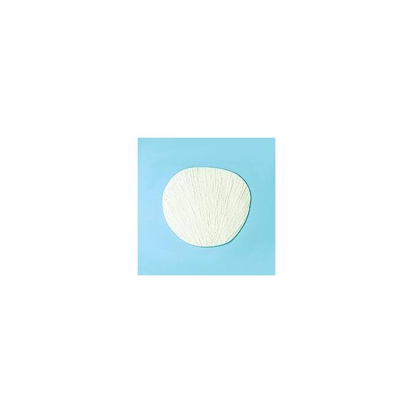 葉・花弁型（白プラ製）538　汎用花脈サイズ（約）：12．5×13．5ｃｍサン工業株式会社（旧 日清アソシエイツ 株式会社）自然な花脈をつけることができます。【　納期について　】 粘土関連商品につきましては、商品の長期保管による品質低下を防...