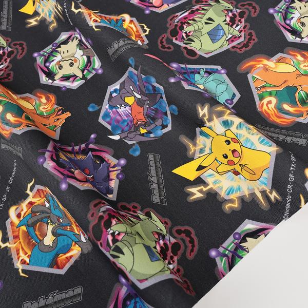 ■布幅（約）…110cm■素材…綿100％■数量設定…50cm単位の切売り　（ご購入例： 数量 2 = 1m）●生地の厚さ … 普通地●透け感 … ほぼなし●生地の特徴 … スタンダードな平織のオックス素材。中厚で丈夫です。伸縮性はありませ...
