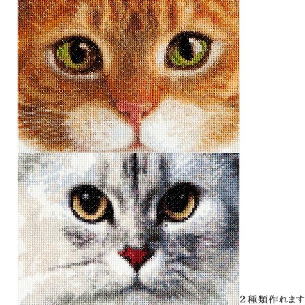 Thea GOUVERNEUR　刺しゅうキットCats Tiger +Kitty【 サイズ(約) 】 17×12cm（2種類とも）【 布の種類 】 アイーダ【 布地のカウント数/インチ 】16【 セット内容 】 16ct アイーダ布（白）、...