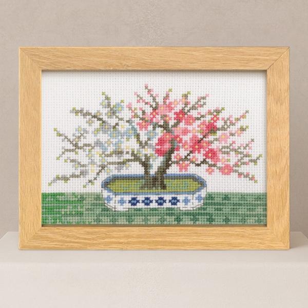 12ヶ月のBONSAIマリー・カトリーヌコレクション2月　紅白梅紅白梅の寄せ植え盆栽。花ものの盆栽の中でも特に人気のある梅は、開花時に香りと愛らしい花姿を楽しめます。鉢の白い素地にビロード苔の緑が美しく、梅をいっそう引き立てます。壁掛け・ス...