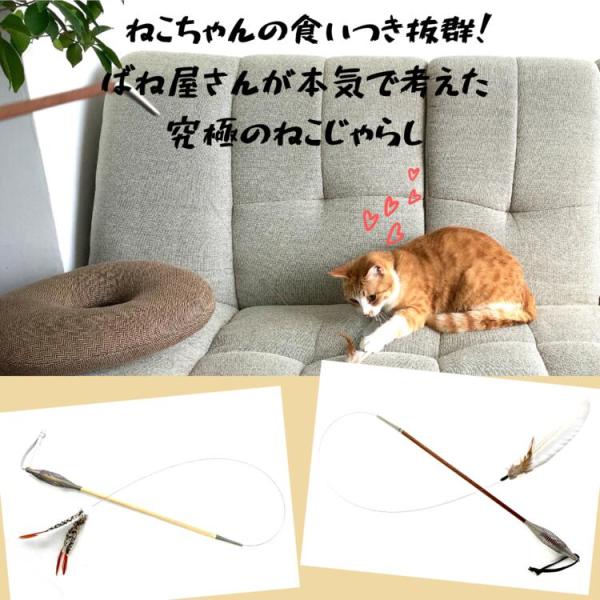ばねじゃらし【ばね屋さんが本気で作った猫じゃらし】
