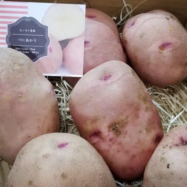 【発売日：2017年10月15日】【送料無料】北海道剣淵町産訳ありべにあかり５キロ【食用】北海道剣淵町の大地で育ったじゃがいもは、気候と土地がよく農作物はなんでも作ることができる所です。けんぶちVIVAマルシェでは約50種類のじゃがいもを作...