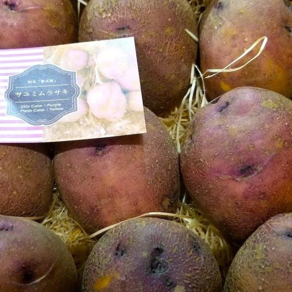 【発売日：2017年10月15日】【送料無料】北海道剣淵町産訳ありサユミムラサキ10キロ【食用】北海道剣淵町の大地で育ったじゃがいもは、気候と土地がよく農作物はなんでも作ることができる所です。訳あり品：シワがあるじゃがいもやサイズが小さめ・...