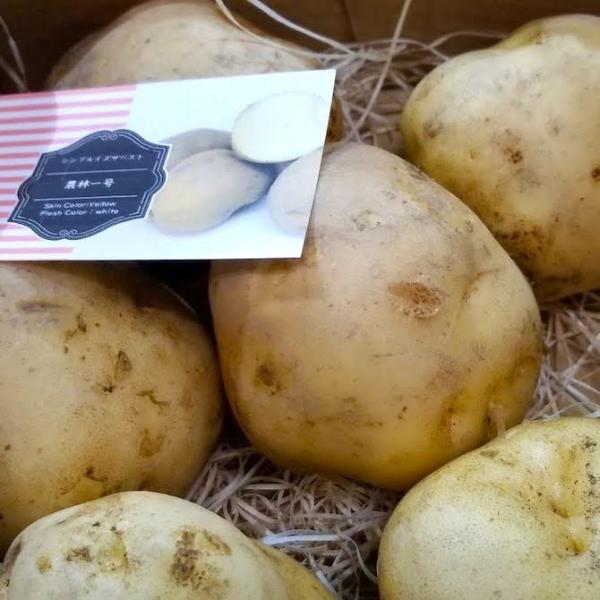 【発売日：2017年10月15日】【送料無料】北海道剣淵町産訳あり農林１号５キロ【食用】北海道剣淵町の大地で育ったじゃがいもは、気候と土地がよく農作物はなんでも作ることができる所です。訳あり品：シワがあるじゃがいもやサイズが小さめ・芽が出始...
