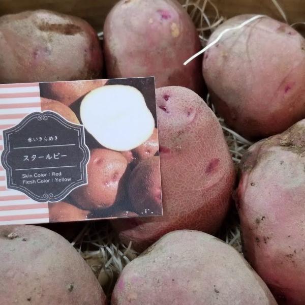 【発売日：2017年10月15日】【送料無料】北海道剣淵町産訳ありスタールビー５キロ【食用】北海道剣淵町の大地で育ったじゃがいもは、気候と土地がよく農作物はなんでも作ることができる所です。けんぶちVIVAマルシェでは約50種類のじゃがいもを...