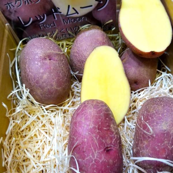 【発売日：2017年10月15日】【送料無料】北海道剣淵町産訳ありレッドムーン１０キロ【食用】北海道剣淵町の大地で育ったじゃがいもは、気候と土地がよく農作物はなんでも作ることができる所です。訳あり品：シワがあるじゃがいもやサイズが小さめ・芽...