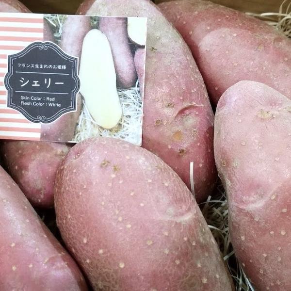 【発売日：2017年10月15日】【送料無料】北海道剣淵町産訳ありシェリー10キロ【食用】北海道剣淵町の大地で育ったじゃがいもは、気候と土地がよく農作物はなんでも作ることができる所です。けんぶちVIVAマルシェでは約50種類のじゃがいもを作...