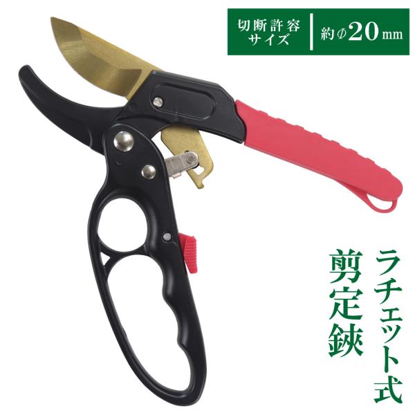 錆にくく耐久性に優れたチタンコーティング仕様軽い力で切り込むラチェット式の剪定ばさみ！ギアが自動に切り替わり、小さい力（従来の約1/3の力）で楽に切れます。ハンドルは滑りにく設計になっており、本体は軽量アルミ素材で手が疲れにくく、長時間の作...