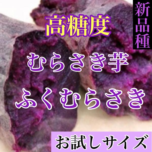 商品名: 　むらさき芋　ふくむらさき 箱込み約1キロ 送料無料産地：千葉県、熊本県、茨城県産　入荷状況、仕入れによります。この【ふくむらさき】というむらさき芋は、2019年に出回り始めた新品種で今までのむらさき芋にはない「甘さ」があります！...