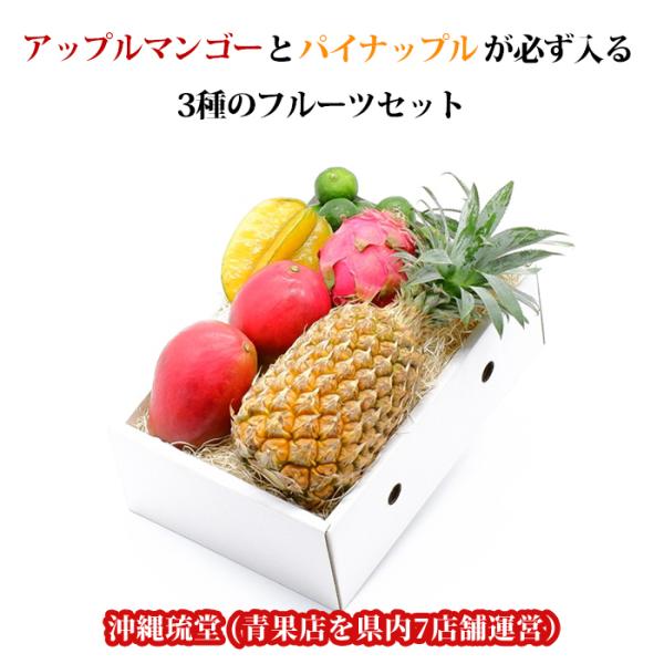 【全国送料無料】アップルマンゴー1kg(2~3玉入)とパイナップルが必ず入る3種のフルーツセットを沖縄琉堂が販売します。【化粧箱入り・ギフト対応】