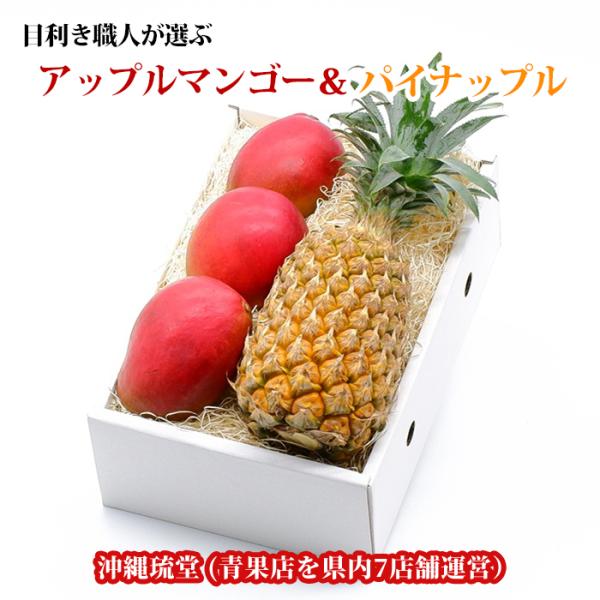 【全国送料無料】アップルマンゴー1kg(2~3玉入)とパイナップルのセットを沖縄琉堂が販売します。【化粧箱入り・ギフト対応】