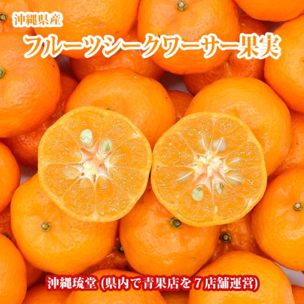 沖縄県産フルーツシークワーサー果実 (黄金(くがに)シークワーサー) を【全国送料無料】にてお届けします。