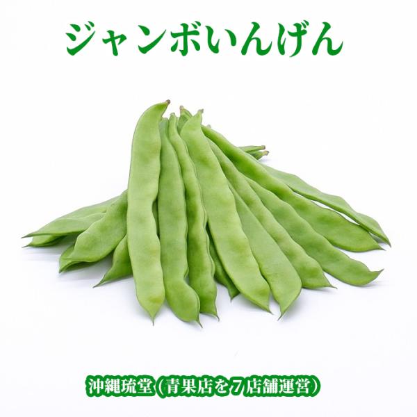 沖縄県産 ジャンボいんげんを沖縄琉堂が販売します。