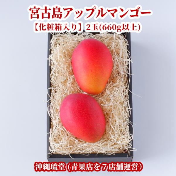 化粧箱入りの宮古島産アップルマンゴーを沖縄琉堂が販売します。※当店では、転売を目的とした購入を禁止しております。