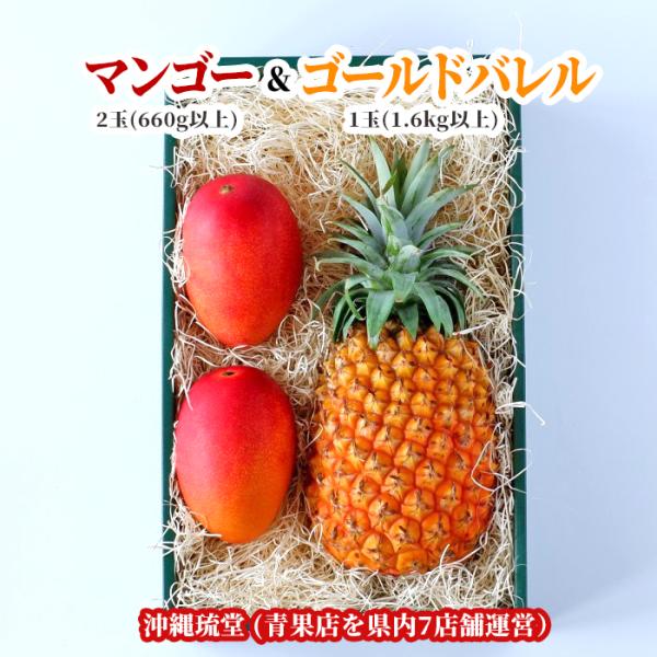 ■【化粧箱】に沖縄県産アップルマンゴーと大玉ゴールドバレルをお入れしてお届けします。■大切な方への贈り物・ギフト対応承ります。■熨斗(のし)対応も承ります。ご用途に応じて最適なのしを選び、対応させていただきます。(のしの「表書き」「名入れ」...