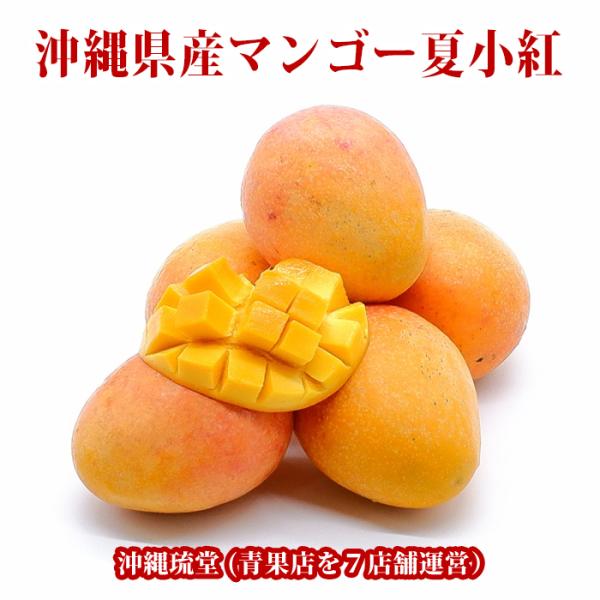 沖縄県産マンゴー夏小紅を沖縄琉堂が【全国送料無料】で販売します。