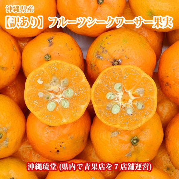 沖縄県産【訳あり】フルーツシークワーサー果実 (黄金(くがに)シークワーサー) を【全国送料無料】にてお届けします。