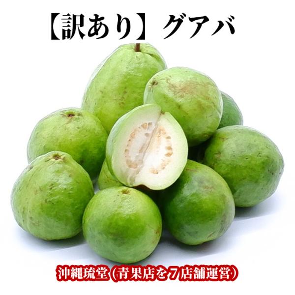 沖縄県産【訳あり】グアバ(赤・白指定不可) を【全国送料無料】にてお届けします。