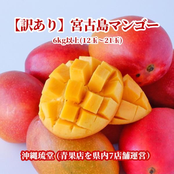 宮古島産の【訳あり】アップルマンゴーを沖縄琉堂が販売します。※当店では、転売を目的とした購入を禁止しております。