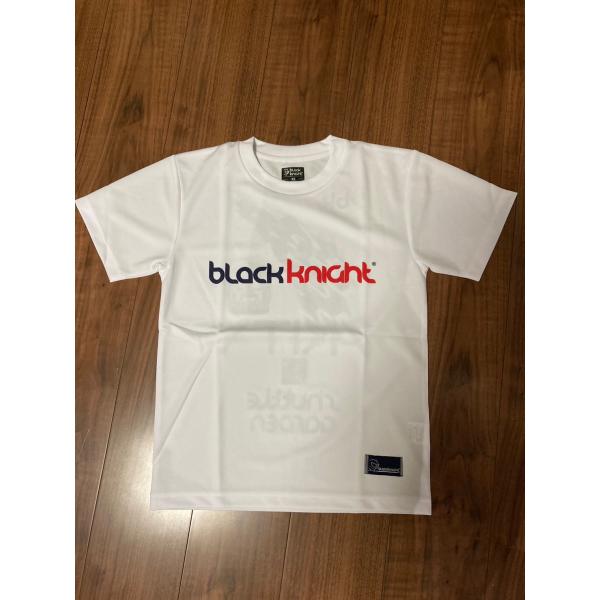 シャトルガーデンとブラックナイトのコラボレーションTシャツです。メーカー：シャトルガーデン、ブラックナイト商品名：半袖Tシャツ素材：ポリエステルデザイン：秋田の竿灯まつりとなまはげをあしらったデザインになっております。検索用：竿灯、竿燈、ま...