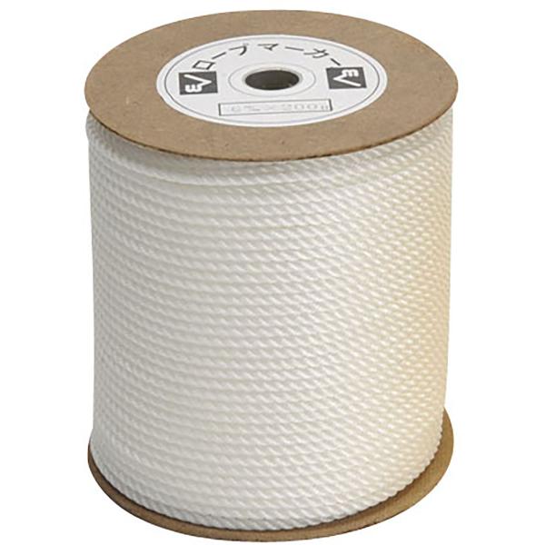 エバニュー Evernew ロープマーカー6×200 体育 授業 体育授業 体つくり 部活 運動 ロープ  EKA183 W　専用釘はEKA186と同サイズ。