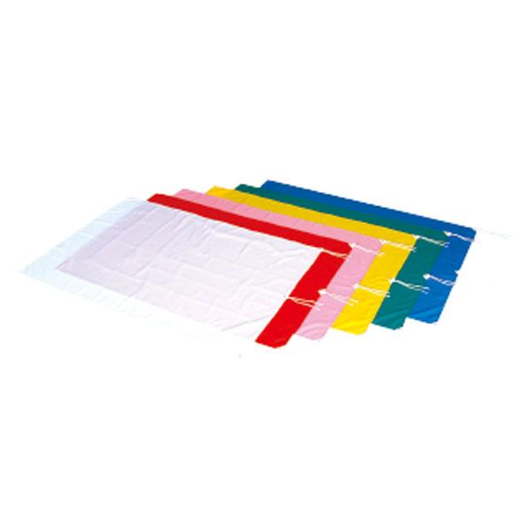 エバニュー EVERNEW 大旗P 体育 授業 体育授業 体つくり 部活 運動 旗  EKA647 500　運動会などのチーム応援に必須の大旗です。多数チーム対応の6カラーをご用意。横幅180cmの大型サイズを採用しています。旗竿は別途ご用...