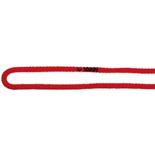 ササキ SASAKI カラーナイロンロープ F.I.G.認定品 M-280-F カラーロープ ナイロンロープ 試合検定品 大会 公式戦 部活 エクササイズ ジム 練習 トレーニング  M280F R　新体操　染色性に優れたナイロンだからこそ...