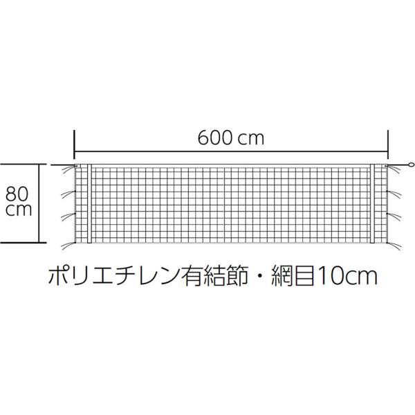 トーエイライト TOEI LIGHT ソフトバレーボールネット B-2535 ブラック 黒 バレー ソフトバレー ママさんバレー ネット バレーネット バレーボール用品 バレー用品  B2535　バレーボール 　幅80cm、長さ600cm、...