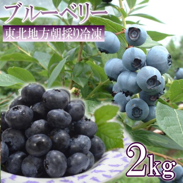※ただいま発送まで1-2週間ほどかかる場合がございます。ご理解のうえ、ご注文ください。■冷凍ブルーベリー約2kg【商品内容】東北産冷凍ブルーベリー約1kg ×2パック【原産地】山形県、岩手県、秋田県※産地指定不可となります。【原材料】ブルー...