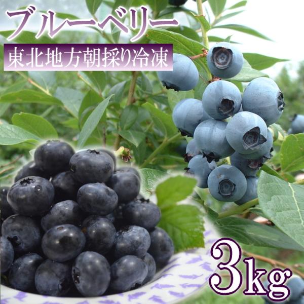 ※ただいま発送まで1-2週間ほどかかる場合がございます。ご理解のうえ、ご注文ください。■冷凍ブルーベリー約3kg【商品内容】東北産冷凍ブルーベリー約1kg ×3パック【原産地】山形県、岩手県、秋田県※産地指定は不可となります。【原材料】ブル...