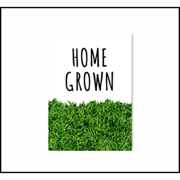 2年前リリースされたミネソタローカルビデオ「FLOW TRASH」を制作した1人Tim Fultonが送る最新作。ラインナップはFLOW TRASH同様個性を持ったスケーターで構成されている。近年、より良いスポットで最高のフッテージを残す為...