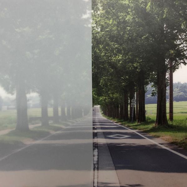 3M ファサラ ガラスフィルムとは、PETフィルムをベースとしたガラスの装飾用デザインフィルムです。高品質なデザインを多数取り揃えていますので、空間に最適なデザインをお選びください。※ご購入時の注意点お選び頂いた「数量」が購入する「長さ」と...