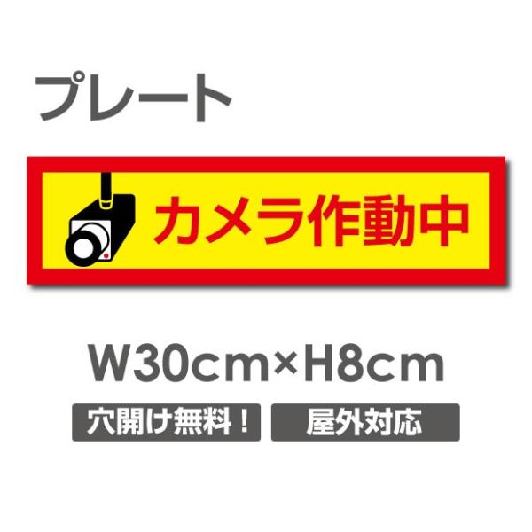 -商品詳細-【商品番号】camera-381【本体サイズ】W300mm×H80mm【加工】UV印刷【材質】3.0mm アルミ複合板