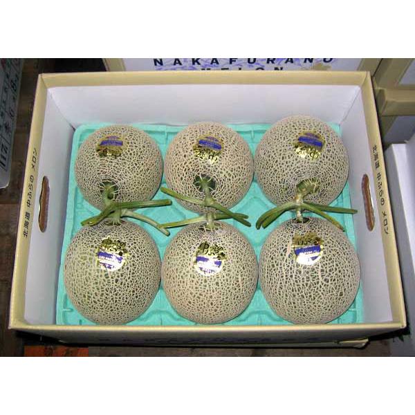 【発売日：2026年07月08日】【7月上旬から発送を開始します】香り豊かな富良野メロンは、北海道富良野地域で生産される、日持ちに優れた、オレンジ色果肉のメロンです。日持ちが良いため、お供え用としても人気のメロンで、晴天の日が続くと、糖度は...