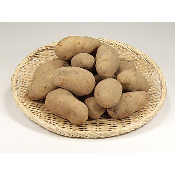 【発売日：2025年09月10日】【9月上旬から出荷を開始します】煮崩れしないメークィンは、肉ジャガ、カレーやシチューなどの煮込み料理に最適なジャガイモです。砂地に育つメークィンは、ホクホク感もバツグンで、塩ゆで、粉ふきいも、ポテトサラダに...