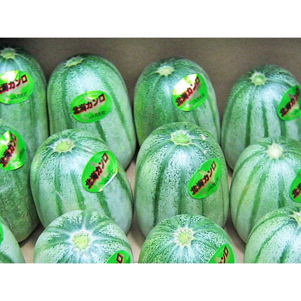 【発売日：2026年06月30日】【７月上旬から出荷を開始します】昔懐かしいアジウリ「北海カンロ」は、青草のような甘みと香りのある、北海道の夏の特産物です。旬は、夏場の6〜8月で、特に爽やかな食味が、根強い人気を支えています。皮をむき、タネ...