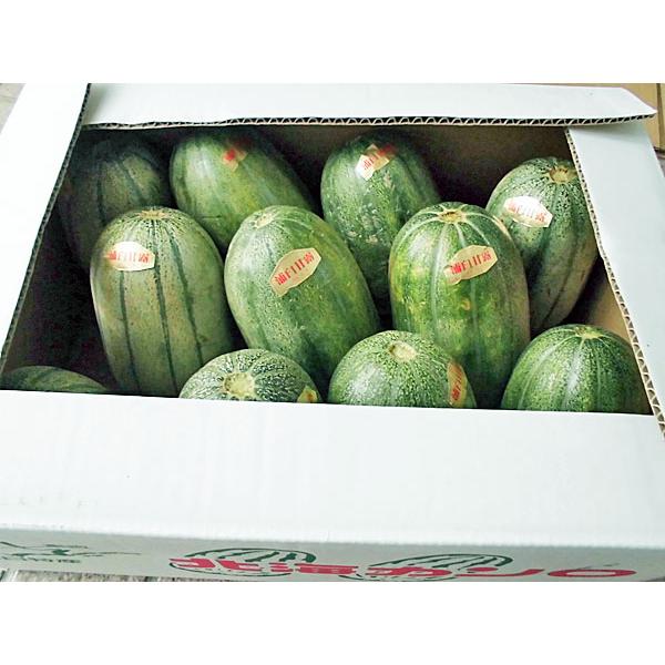 【発売日：2026年06月30日】【７月上旬から出荷を開始します】昔懐かしいアジウリ「北海カンロ」は、青草のような甘みと香りのある、北海道の夏の特産物です。旬は、夏場の6〜8月で、特に爽やかな食味が、根強い人気を支えています。皮をむき、タネ...